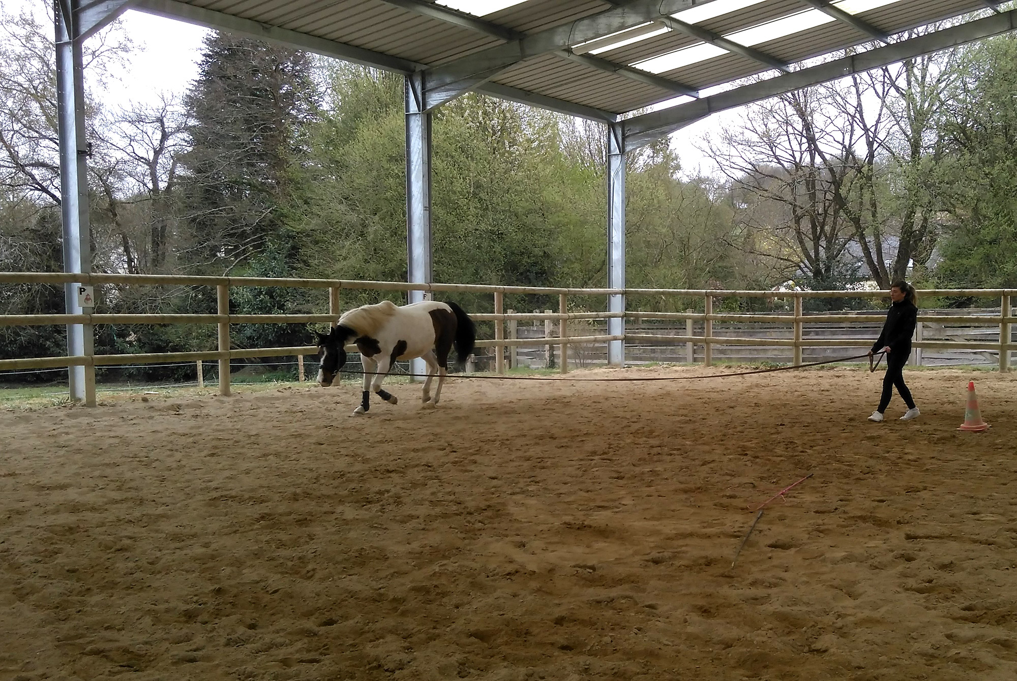 demi pension chevaux vannes Morbihan